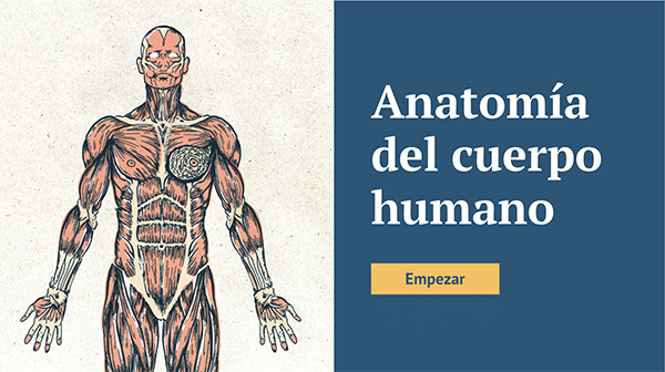Anatomía del cuerpo humano | Plantillas de Genially